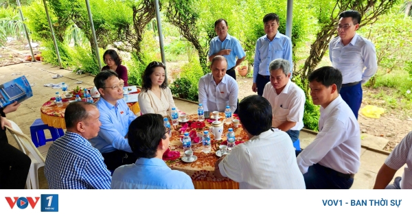 Sử dụng bóng đèn compact 20W chong đèn thanh long, nông dân Tiền Giang ...